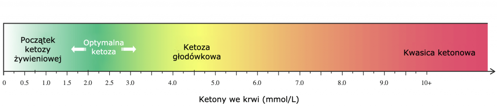 Dieta ketogeniczna: Co to jest ketoza i ciała ketonowe? - Ketowariatka